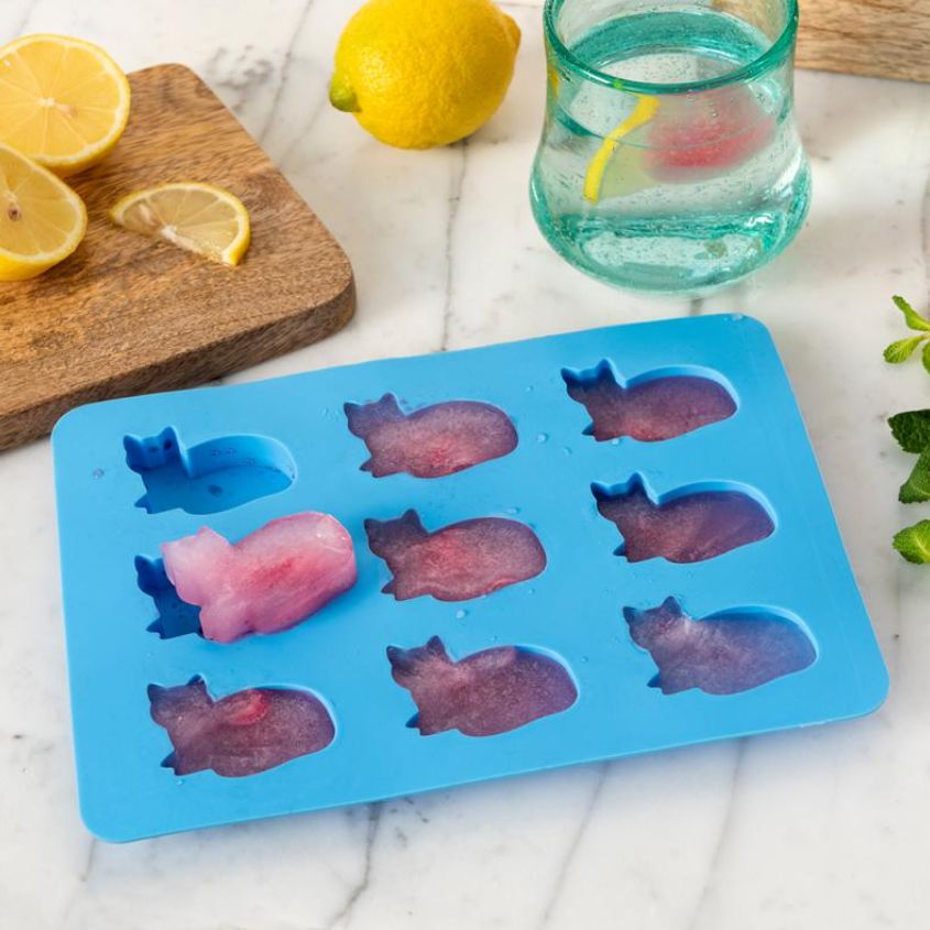 Cat Themed Kitchen Gadgets | Quirky Cat Motif Kitchen Aids – The Cat ...