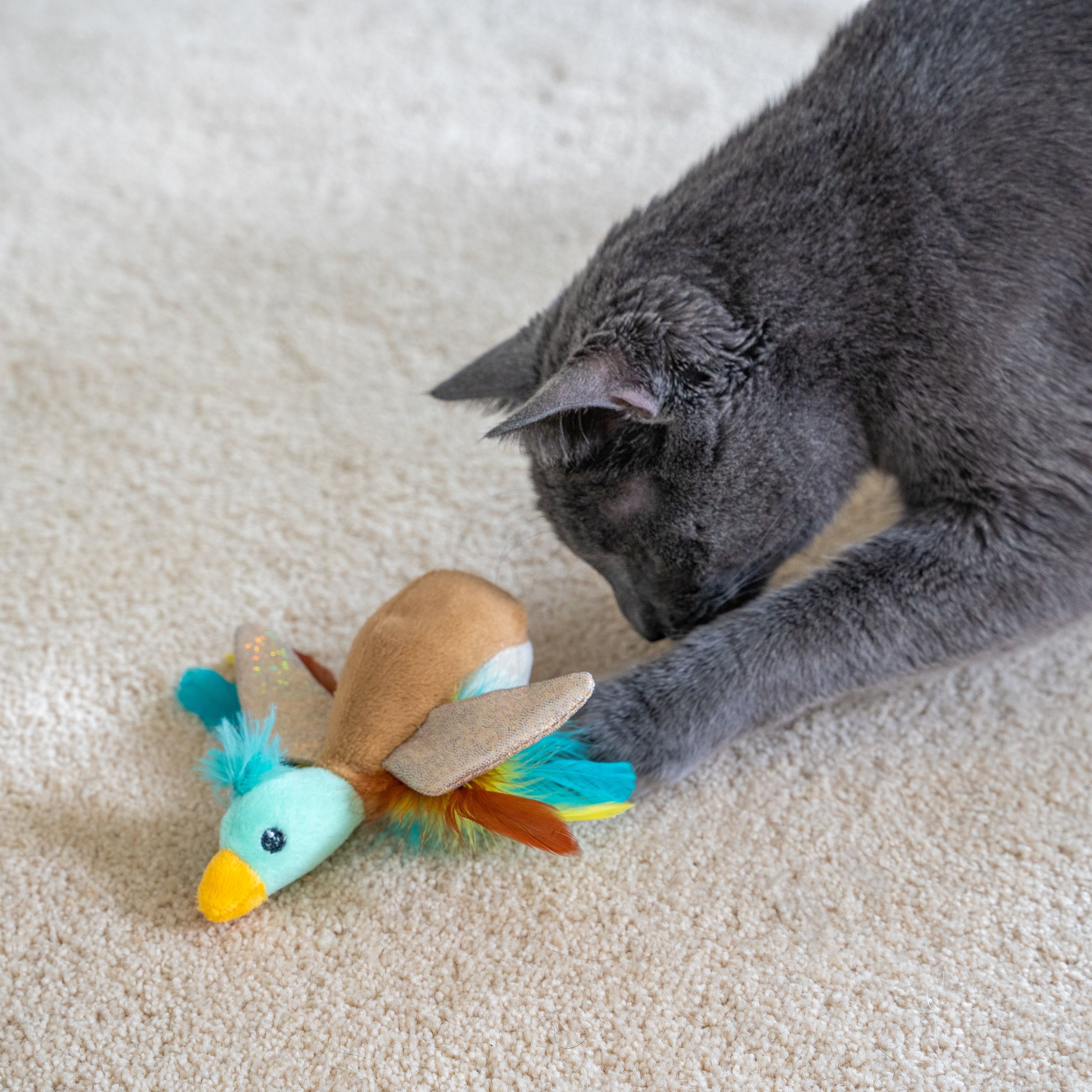 Flapperz Duck Cat Toy – The Cat Gallery