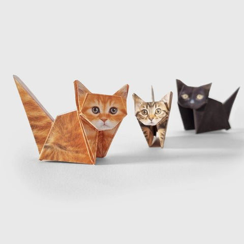 Family Craft Project DIY Paper Cats Origami Kit - 50 Sheets For 3D ...