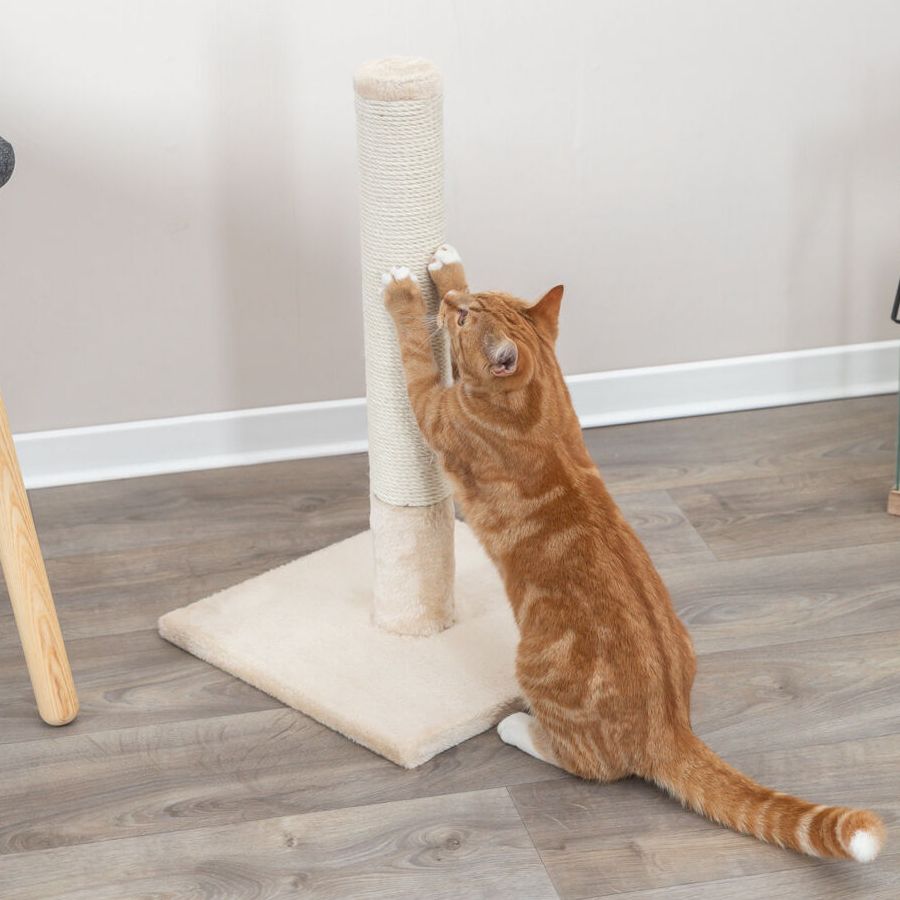 Tall Scratching Post by Trixie – The Cat Gallery