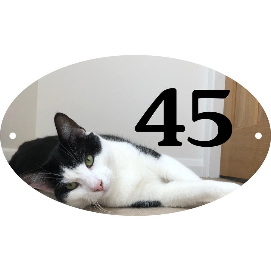 Cat Signs | Cats Wall Art | Cat Plaque – The Cat Gallery